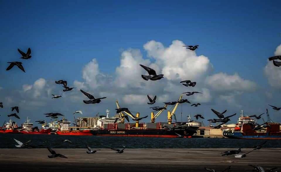 Egypt Launches Pioneering Ship Scrapping Project: A Regional First in ...