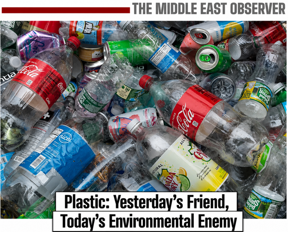 Plastic: Yesterday’s Friend, Today’s Environmental Enemy - The Middle ...
