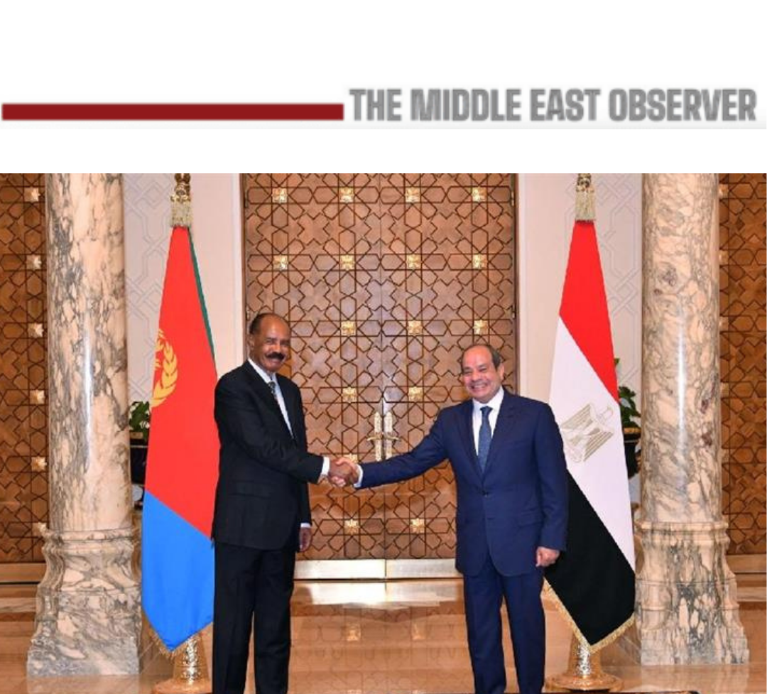 Egypt, Eritrea Reaffirm Coordination on Red Sea Security and Horn of ...